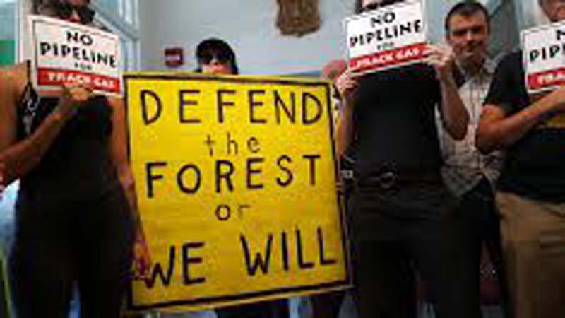 Forest Defenders Demand US Forest Service Protect Public Lands and ...